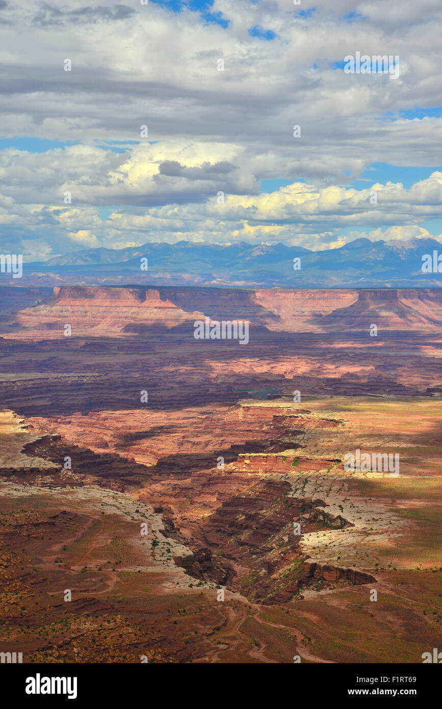 View from Buck Canyon overlook in Island of the Sky District of ...