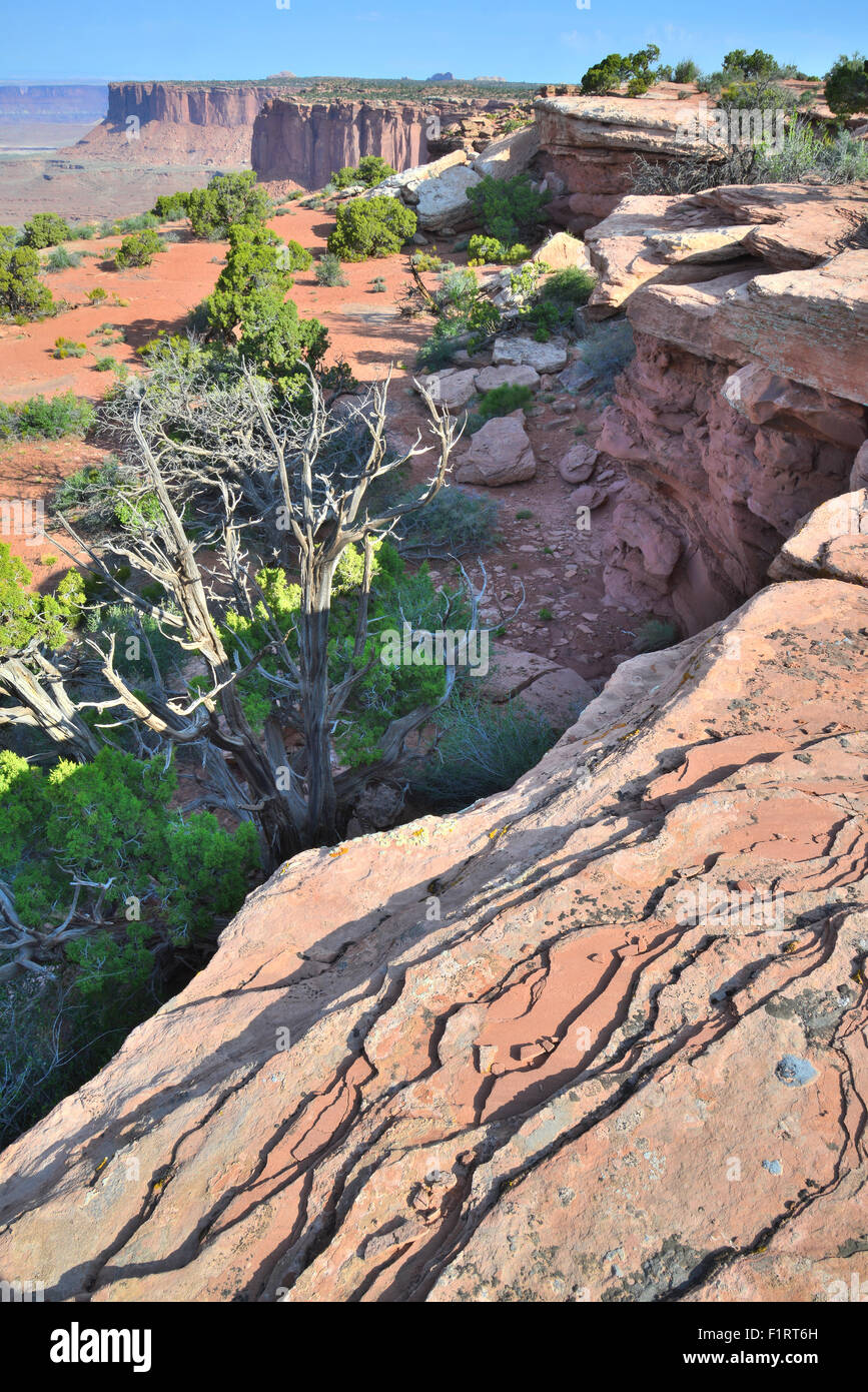 View from West side of Grand View Point in Island of the Sky District ...