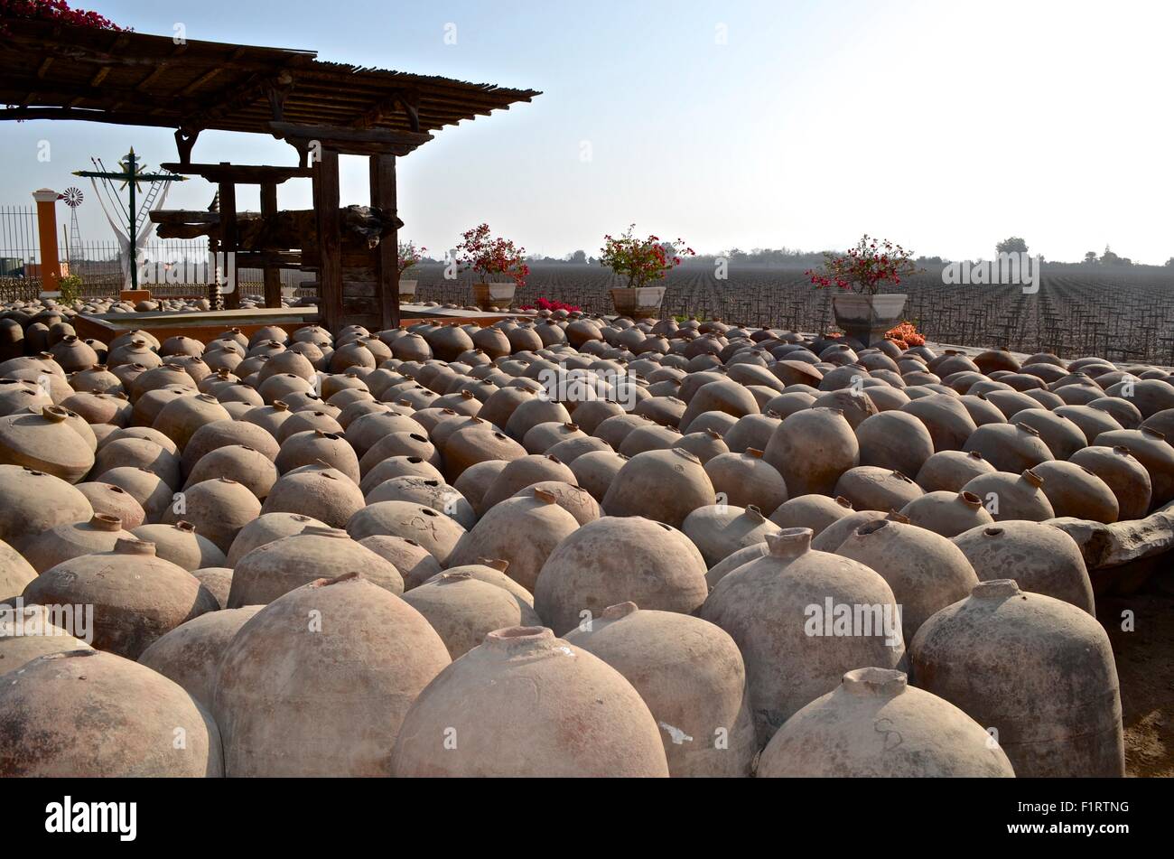 Peruvian Pisco and wine production in vineyards near Ica, Peru Stock ...