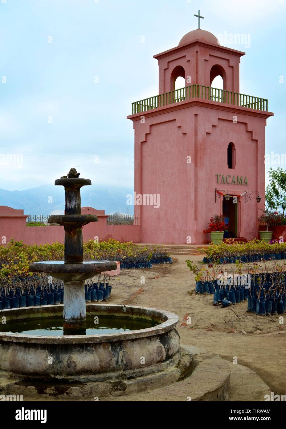 Peruvian Pisco and wine production in vineyards near Ica, Peru Stock ...
