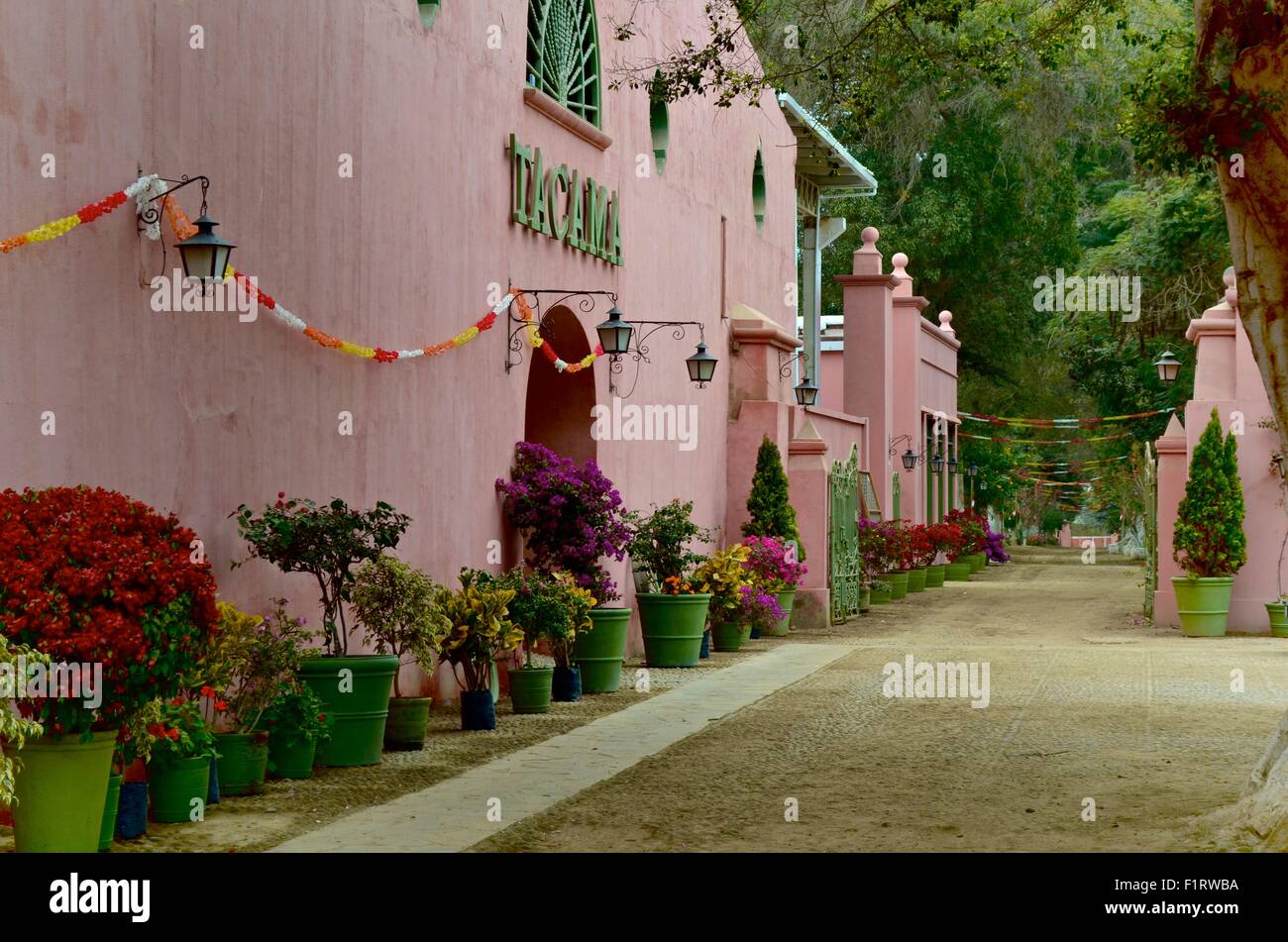 Peruvian Pisco and wine production in vineyards near Ica, Peru Stock ...