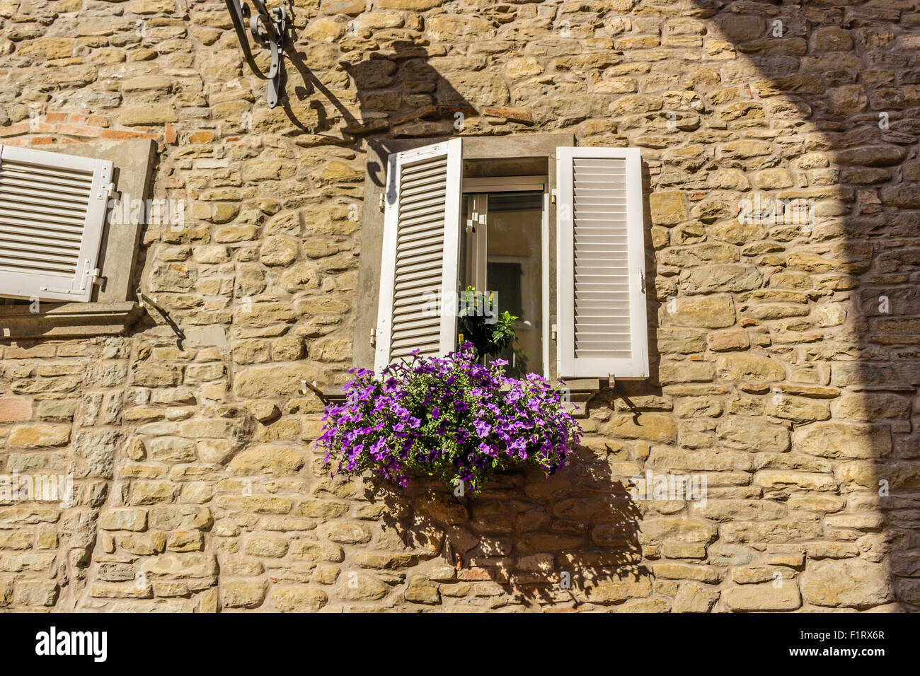 rectangular square window with white shutters and pots of fuchsia ...