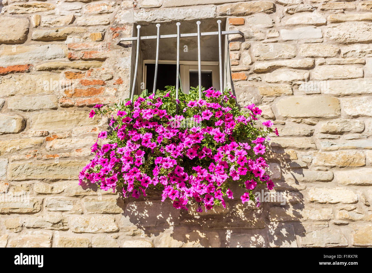 rectangular square window with white shutters and pots of fuchsia ...