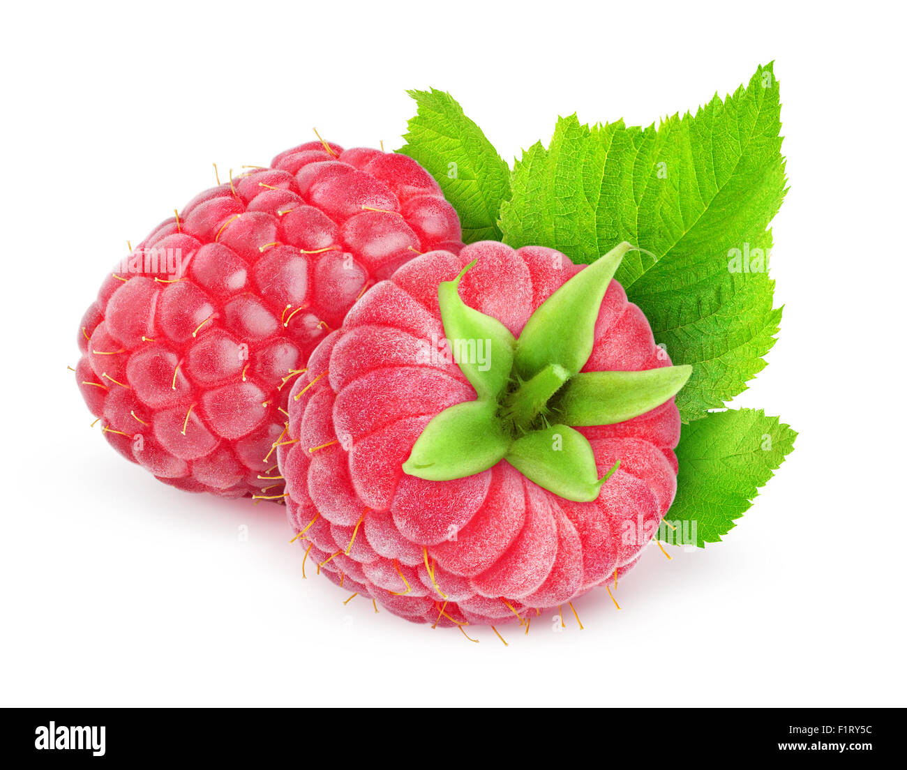 Two fresh raspberries isolated on white Stock Photo - Alamy