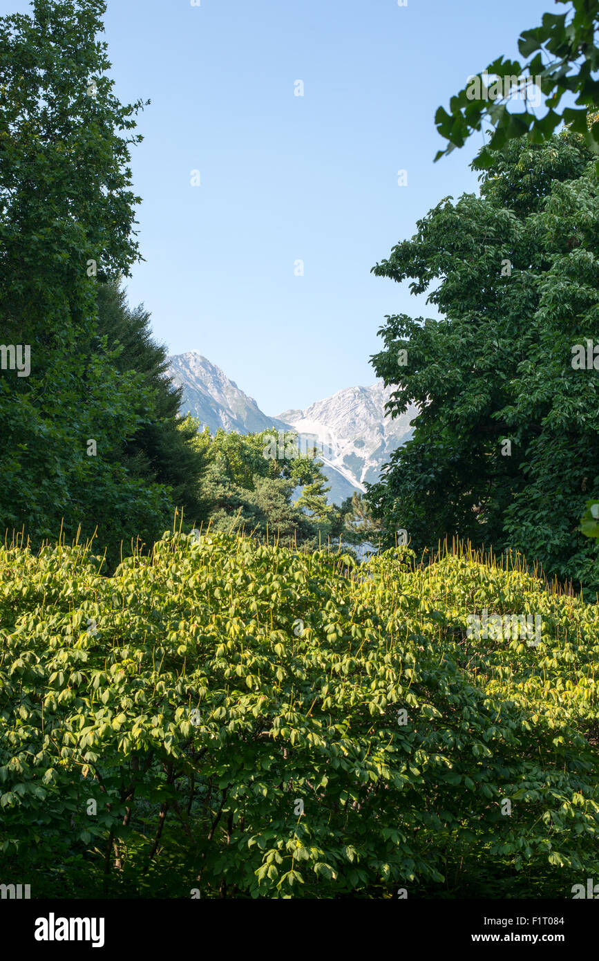 Wood scape hi-res stock photography and images - Alamy