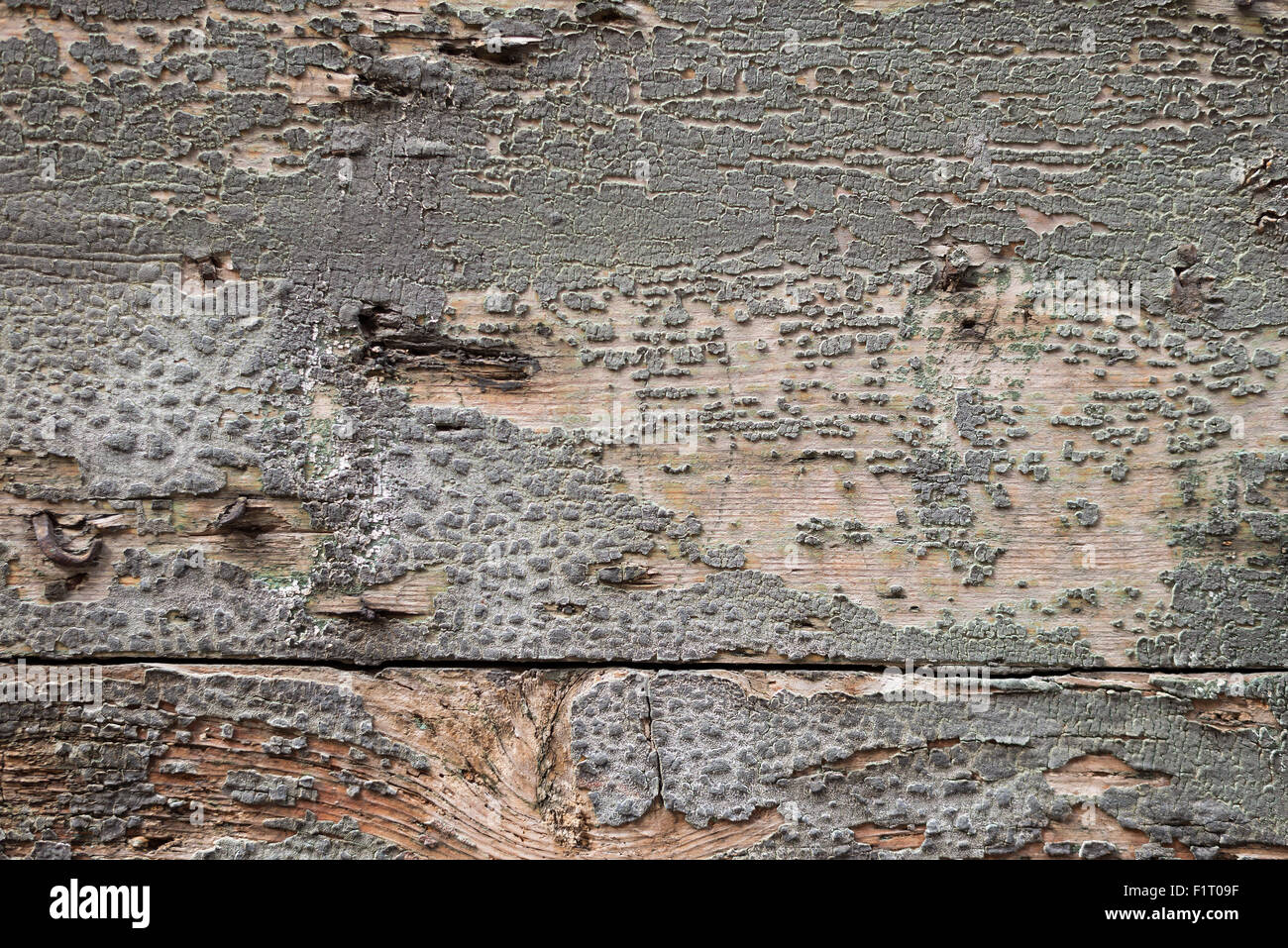 Wood texture background, bad condition Stock Photo - Alamy