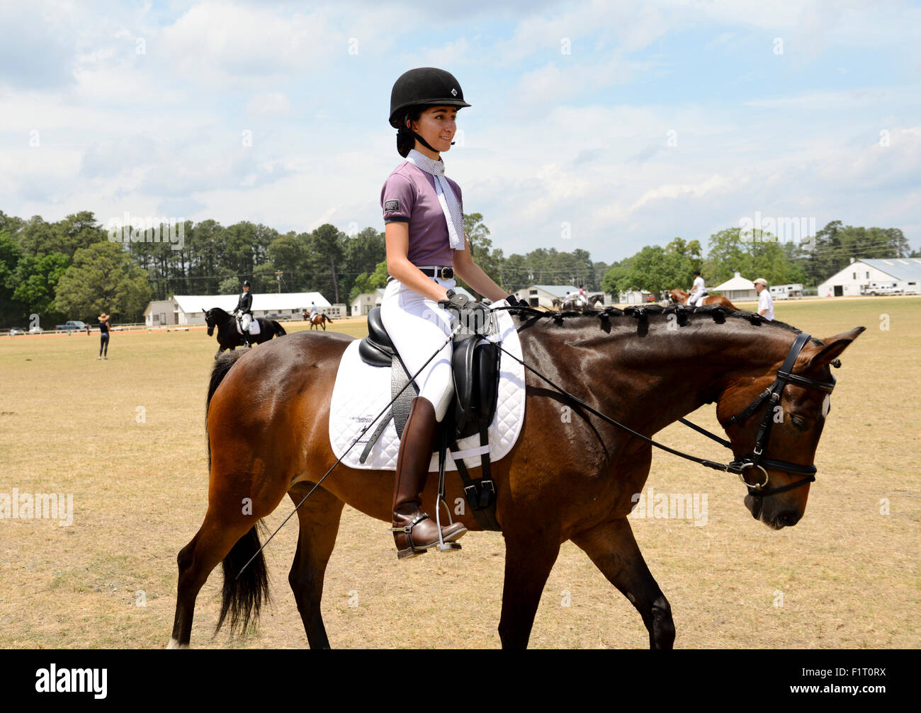 Equestrian horse lady dressage hi-res stock photography and images - Alamy