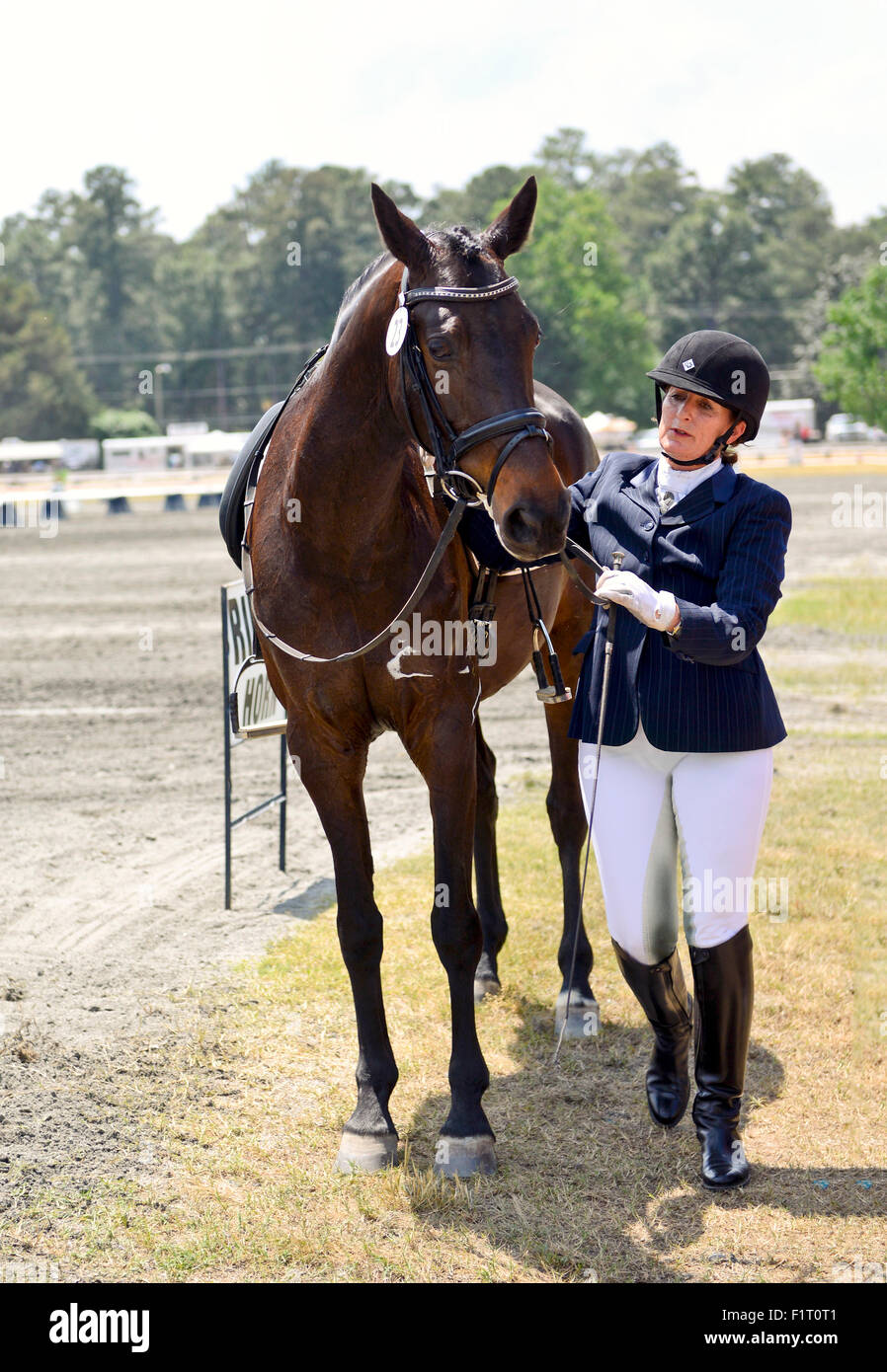 Competitive Dressage Horseback Riding in Pinehurst North Carolina Stock ...