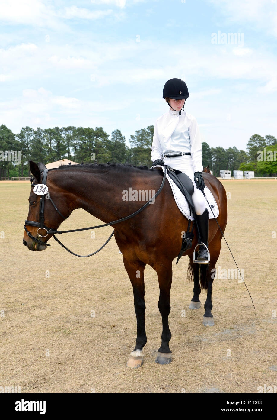 Equestrian horse lady dressage hi-res stock photography and images - Alamy