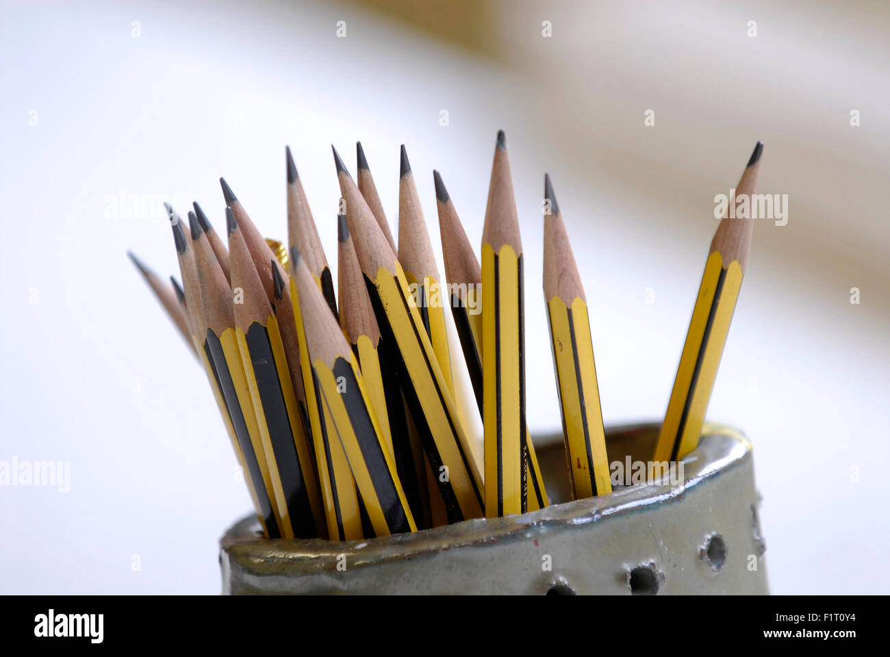 Yellow and black pencils in a pot Stock Photo - Alamy