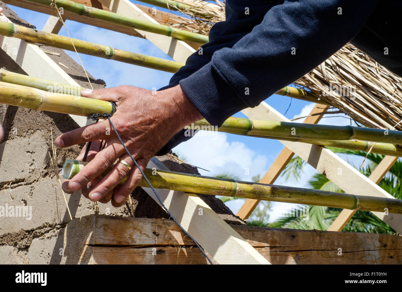male hands knotting reeds for a roof in green architecture at workshop ...