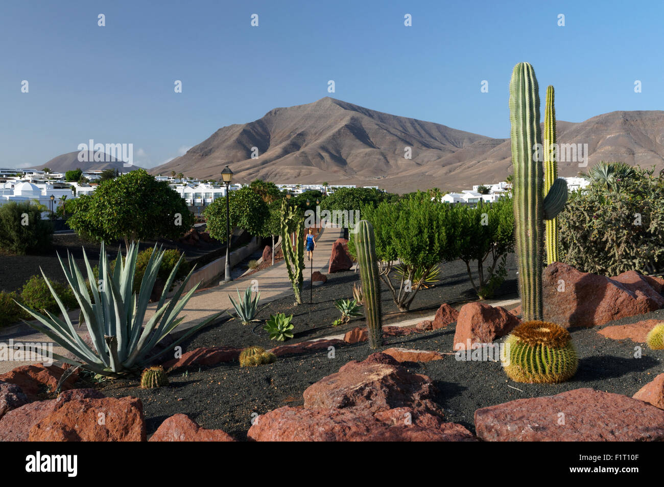 Hacha Grande and the mountains of Femes from Los Coloradas, Playa ...