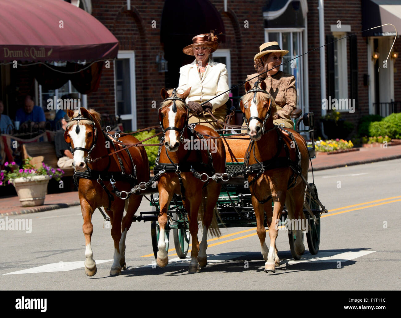 Two ladies riding a three horse drawn buggy in the village of Pinehurst ...