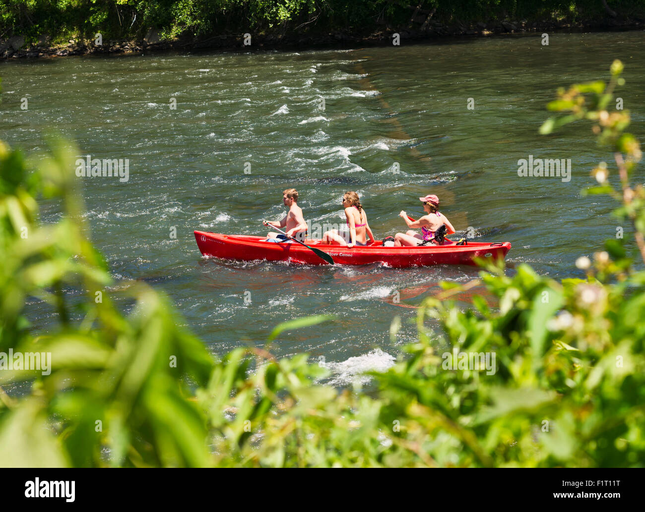 Canoing down river hi-res stock photography and images - Alamy