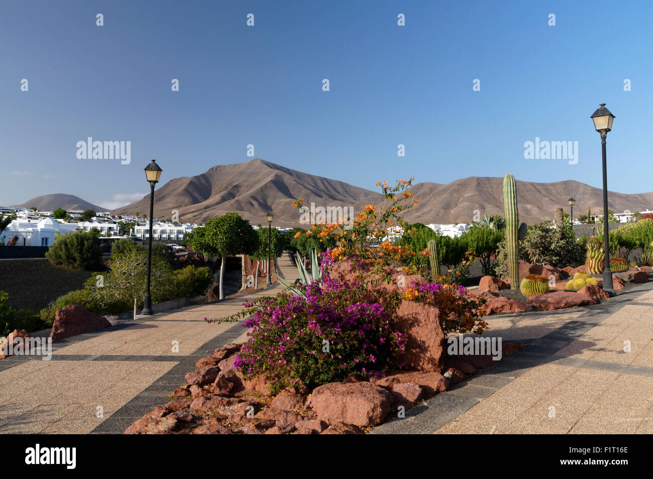 Hacha Grande and the mountains of Femes from Los Coloradas, Playa ...