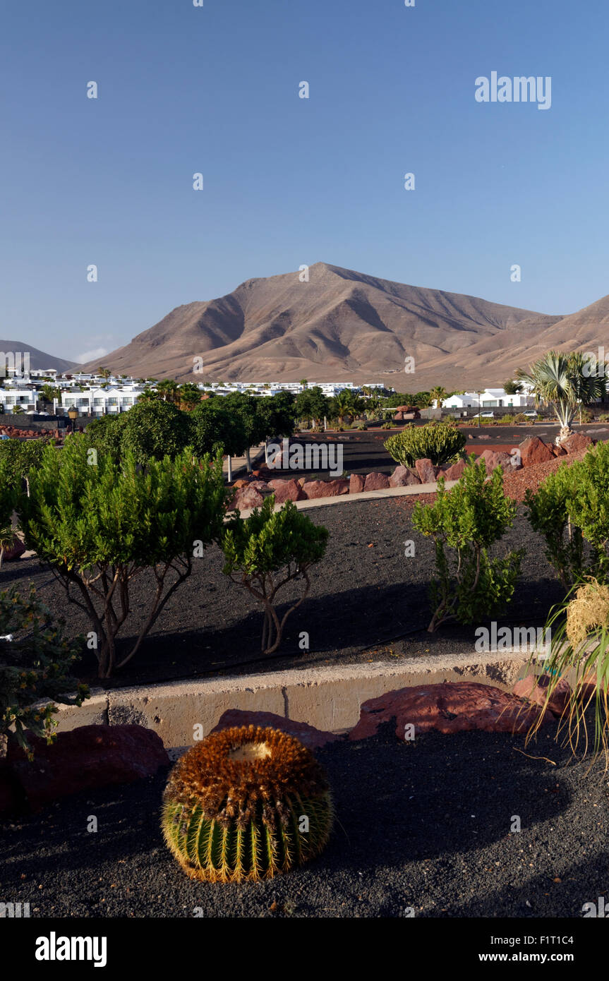 Hacha Grande and the mountains of Femes from Los Coloradas, Playa ...