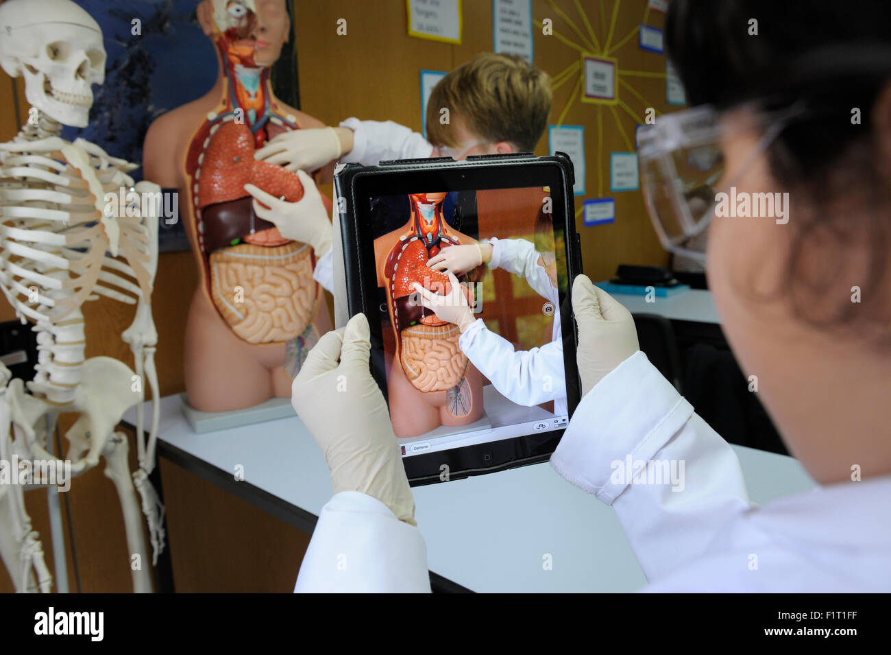 School biology hi-res stock photography and images - Alamy