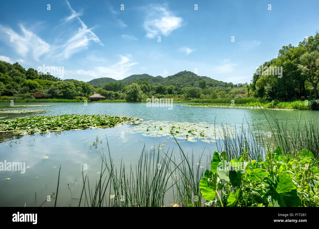 West Lake landscape with green hills, lake and blue sky, Hangzhou ...