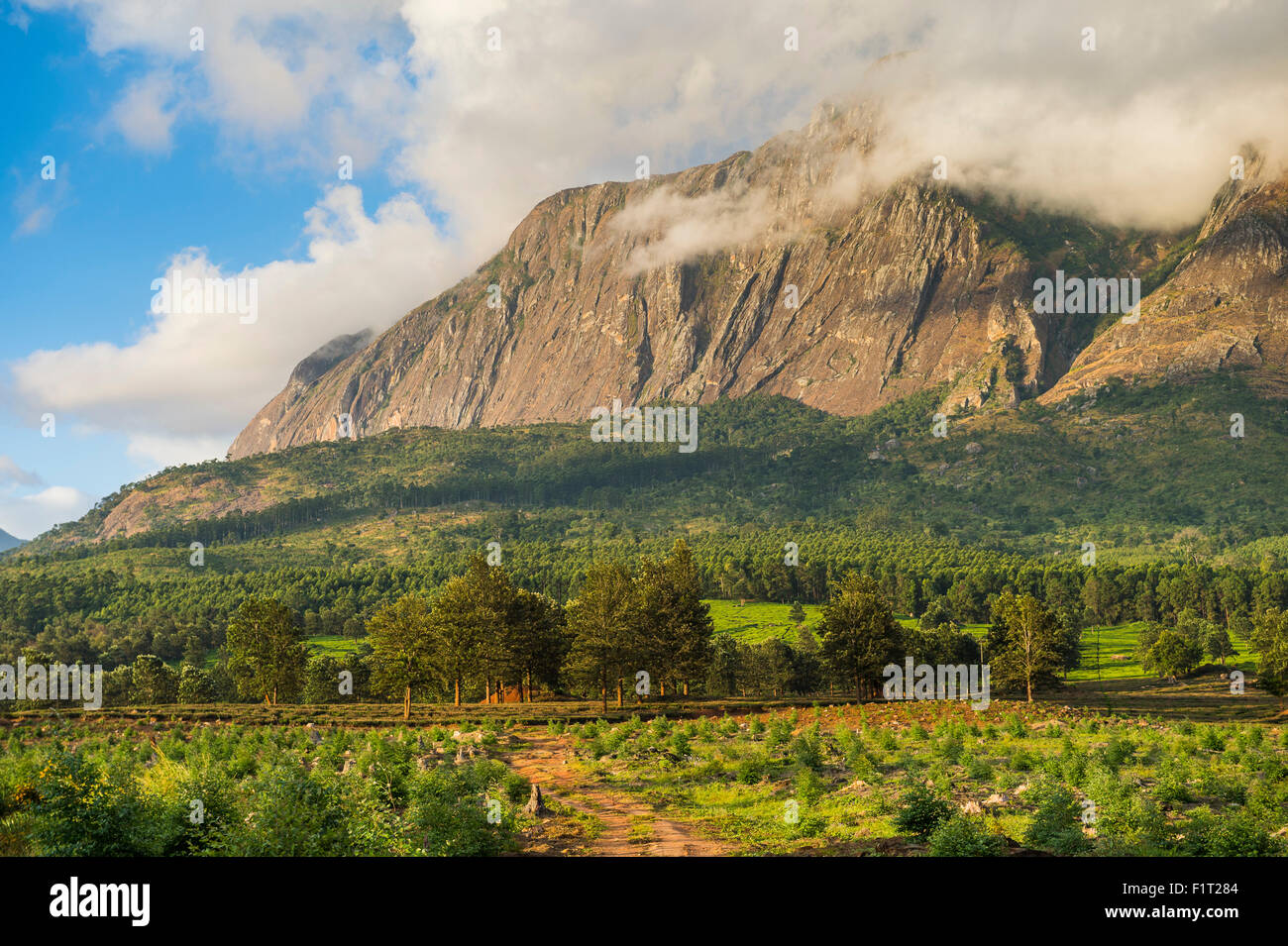 Mulanje mountain hi-res stock photography and images - Alamy