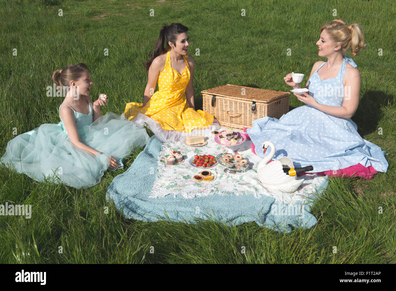 vintage countryside garden tea party picnic with a classic British ...