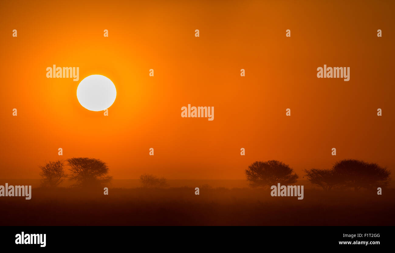 Beautiful african sunset Stock Photo - Alamy