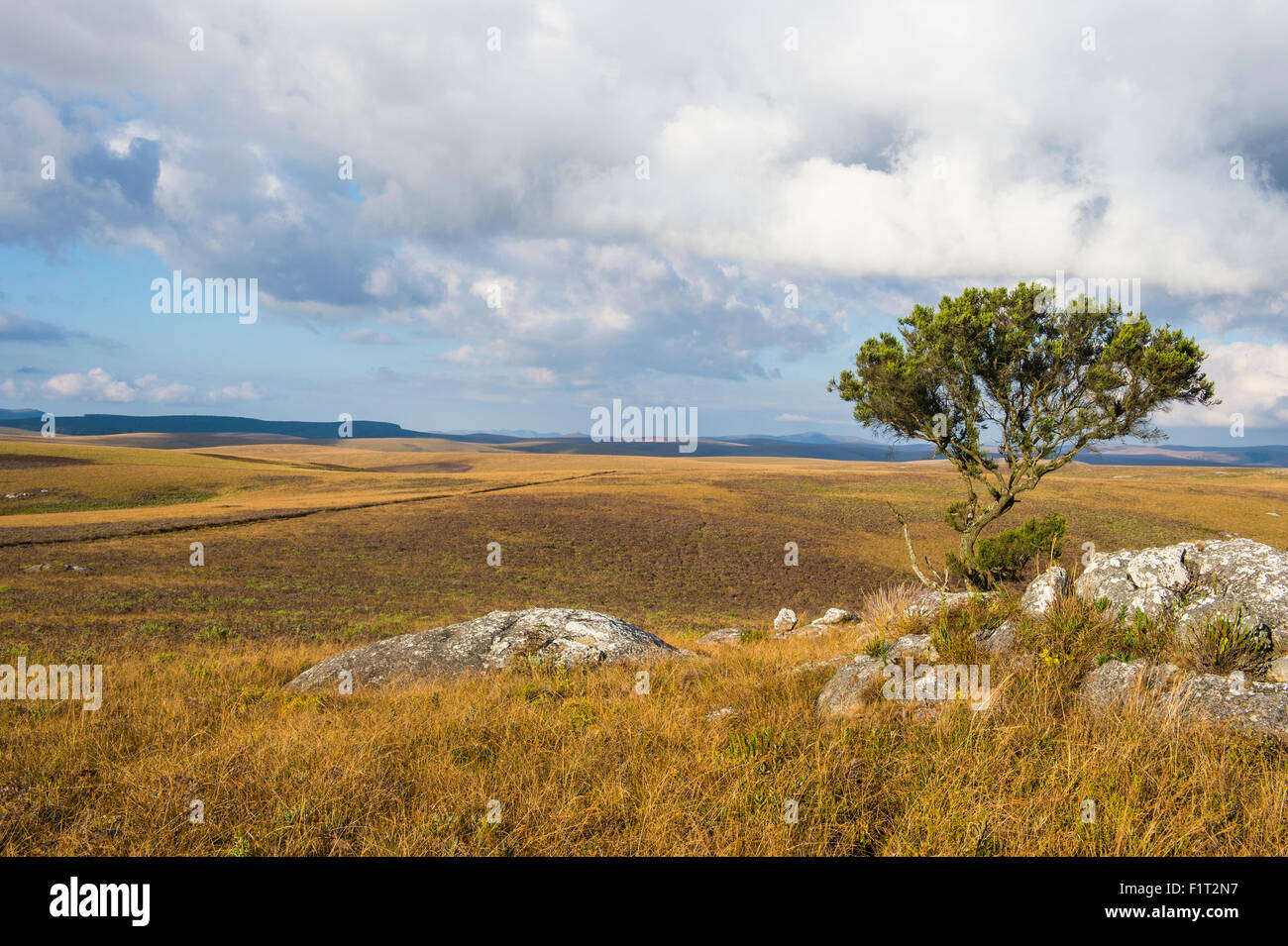 African highlands hi-res stock photography and images - Alamy