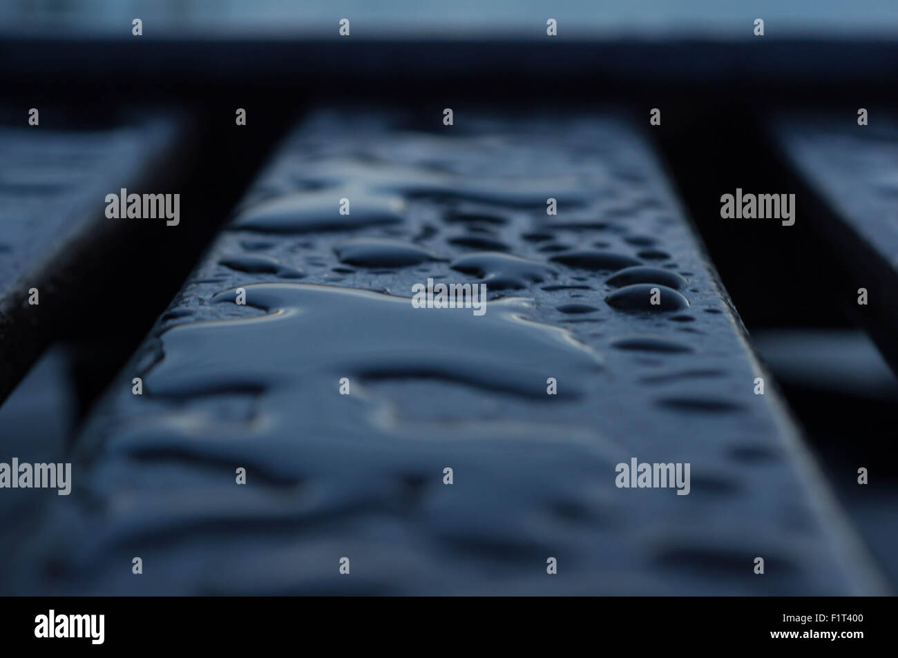 Drops of water on the wooden boards after rain Stock Photo - Alamy
