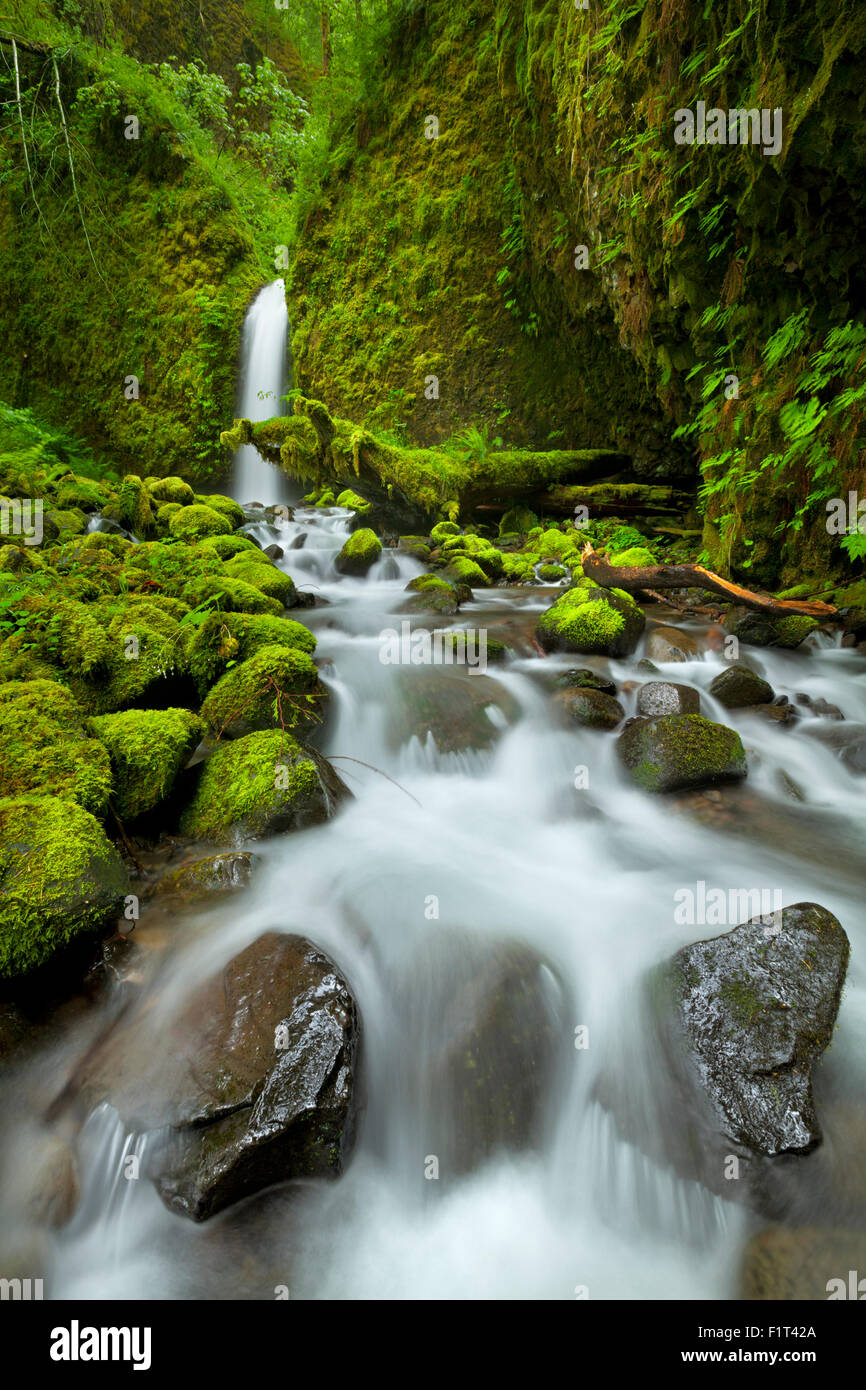 A hard-to-reach and remote waterfall in the backcountry of the Columbia ...
