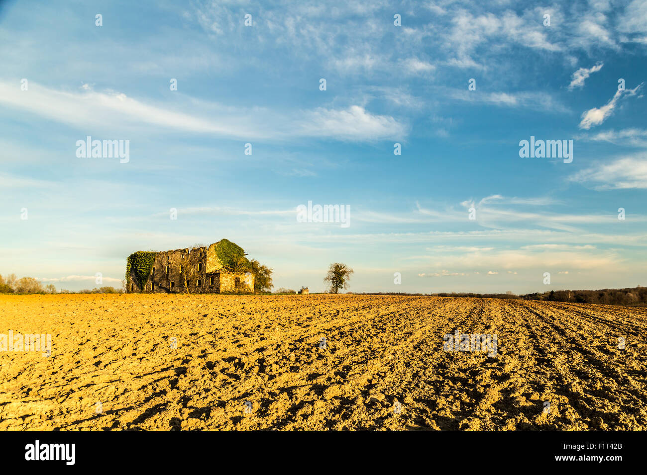 an abandoned and ruined farm in the fields of Italy Stock Photo - Alamy