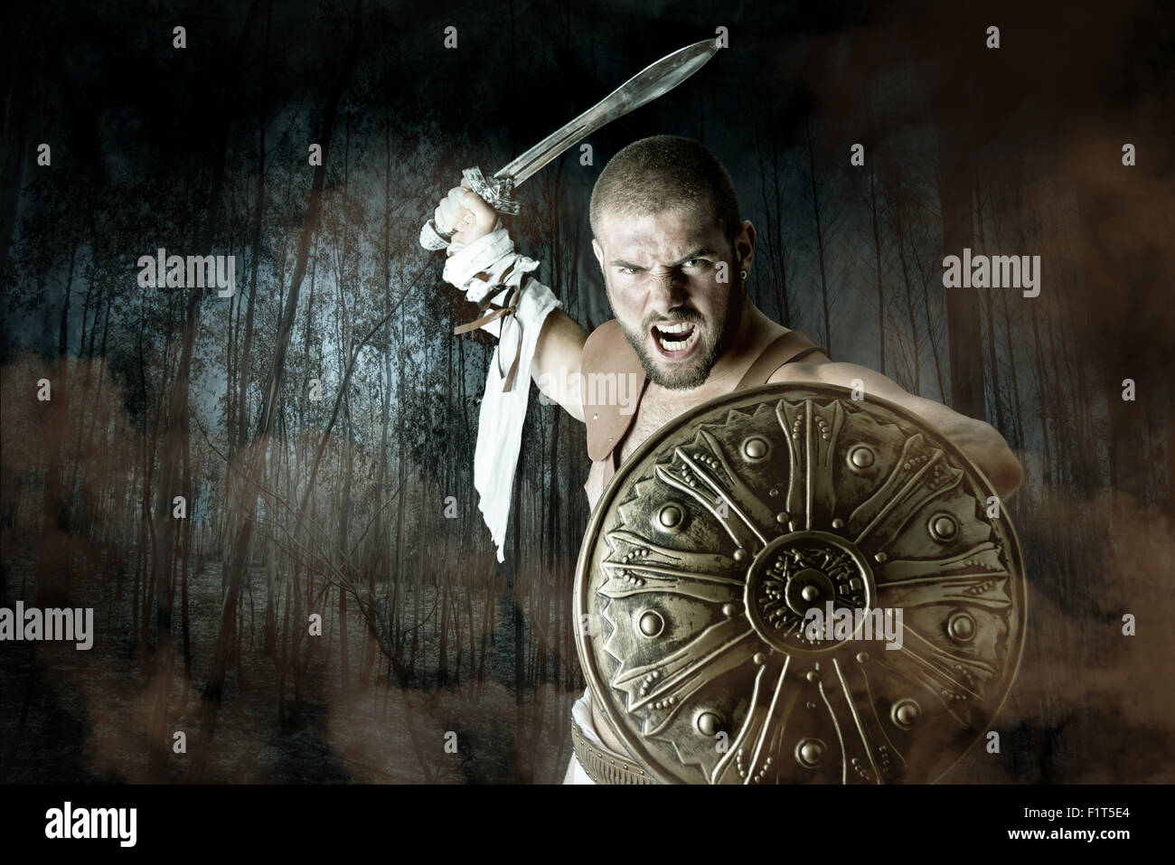 Gladiator or warrior posing with shield and sword battling in a dark ...