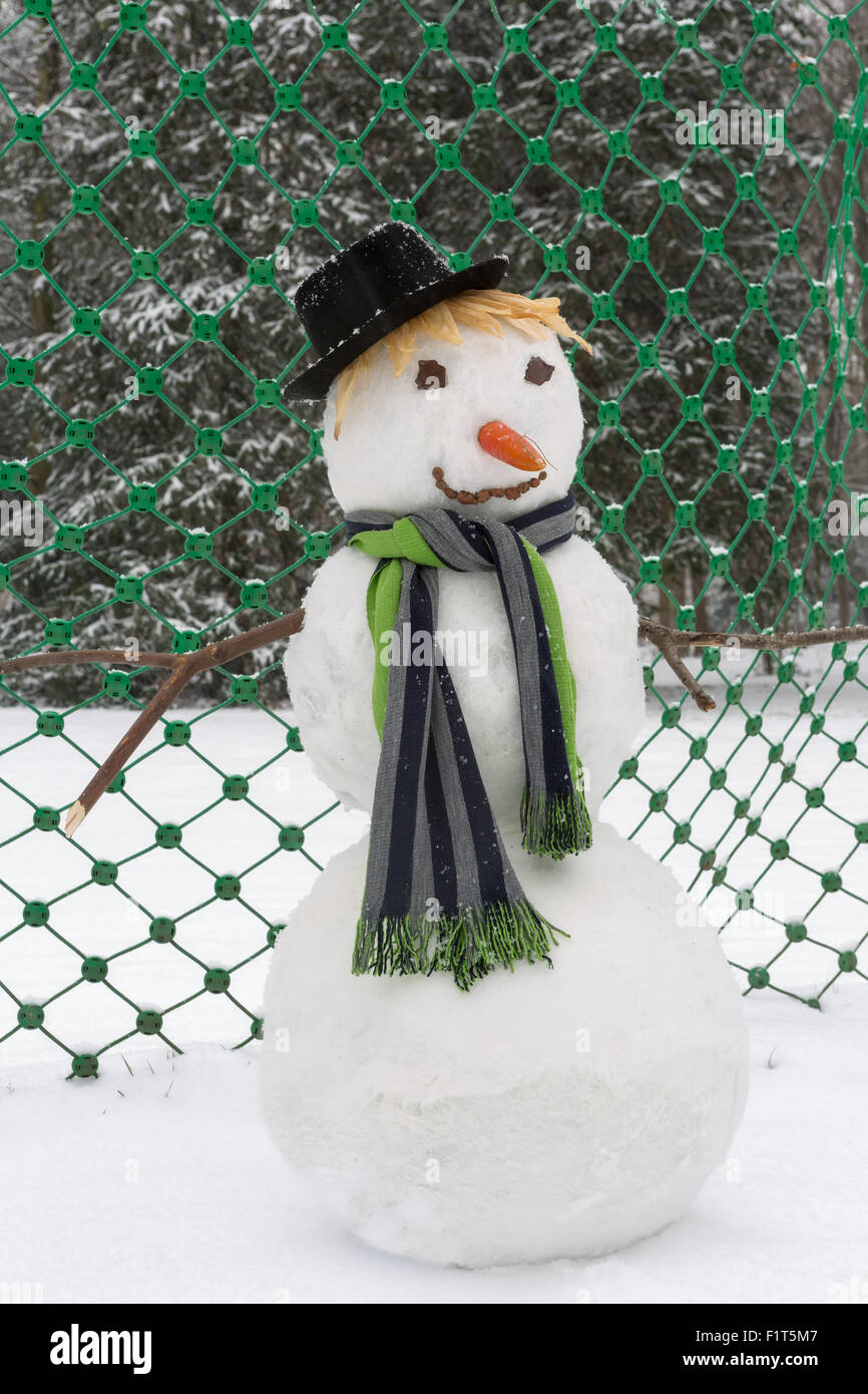 Funny snowman defending the soccer goal in the park Stock Photo - Alamy