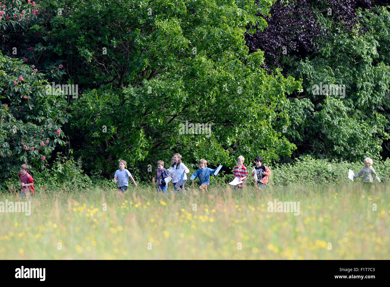 Children play in a meadow during a visit to an activity centre in ...