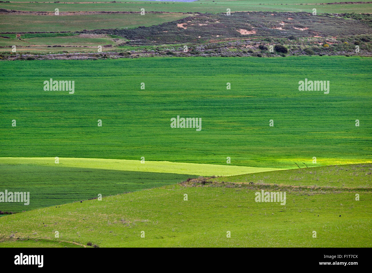 South Africa, fields Stock Photo - Alamy