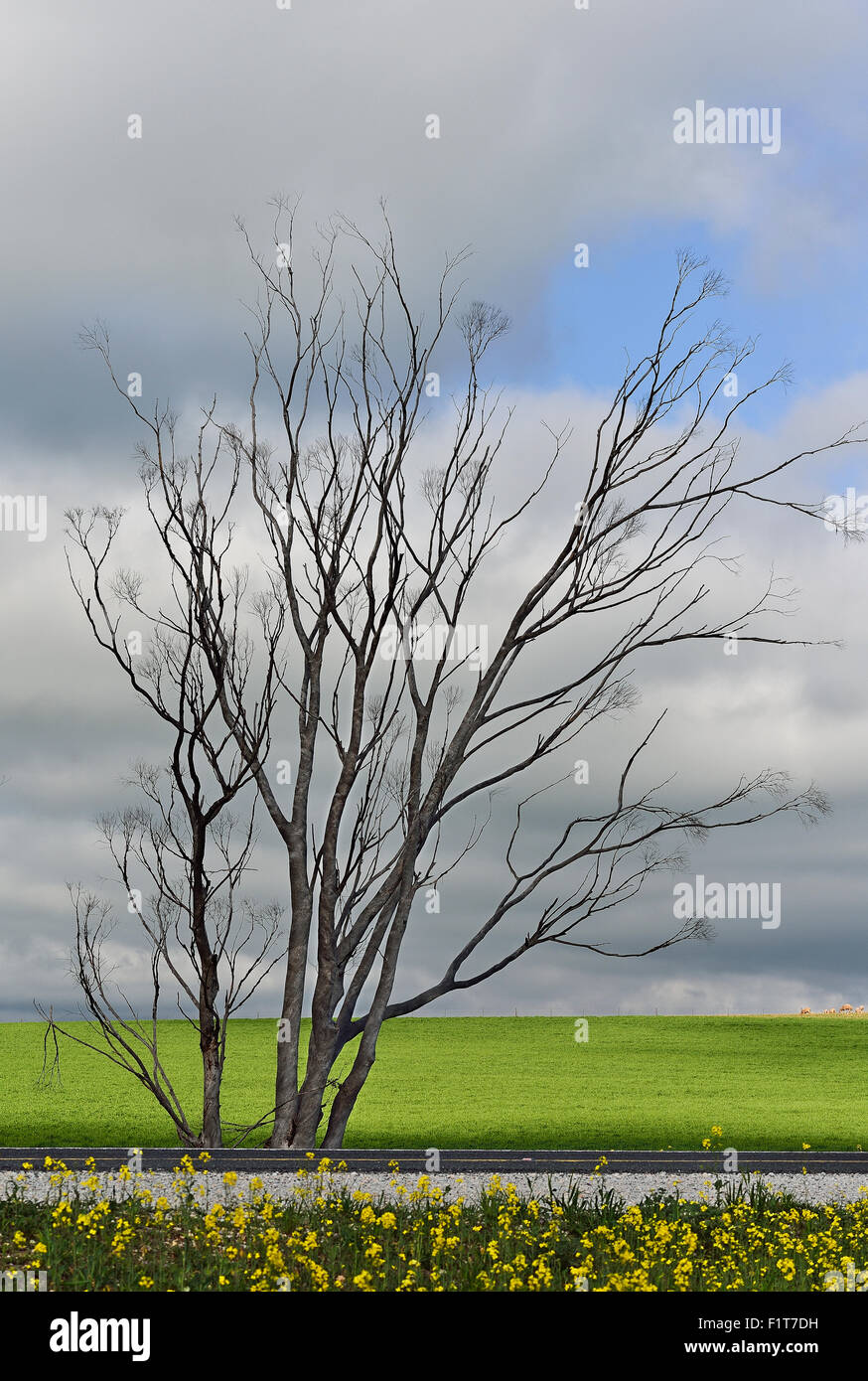 South Africa, country landscape Stock Photo - Alamy