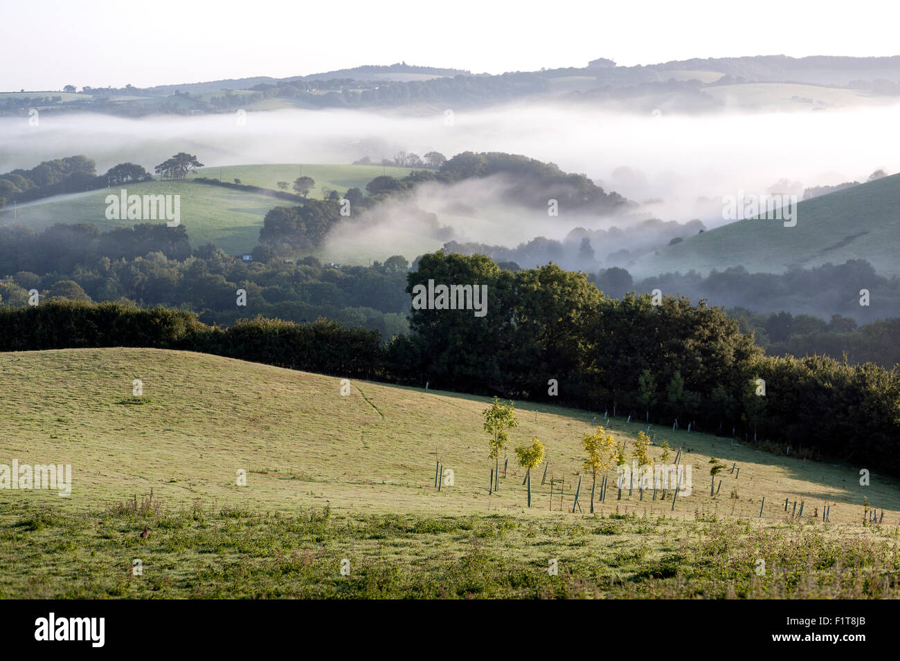Teign gorge hi-res stock photography and images - Alamy