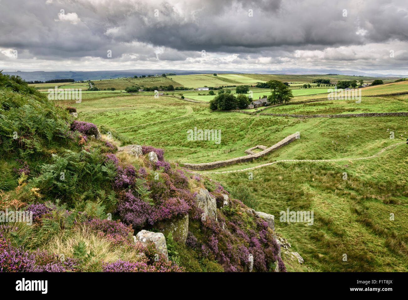 Hadrian's Wall at Steel Rigg in Northumberland Stock Photo - Alamy