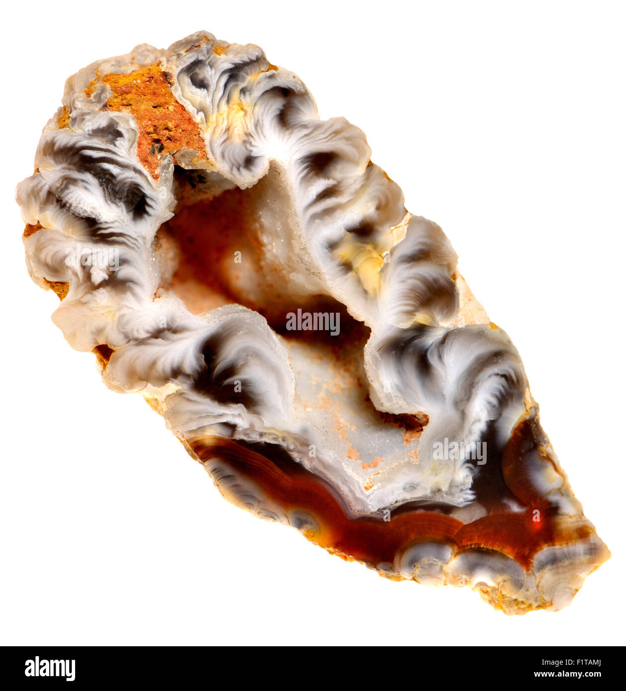 Geode, sliced open to reveal crystals in the cavity and bands of agate ...
