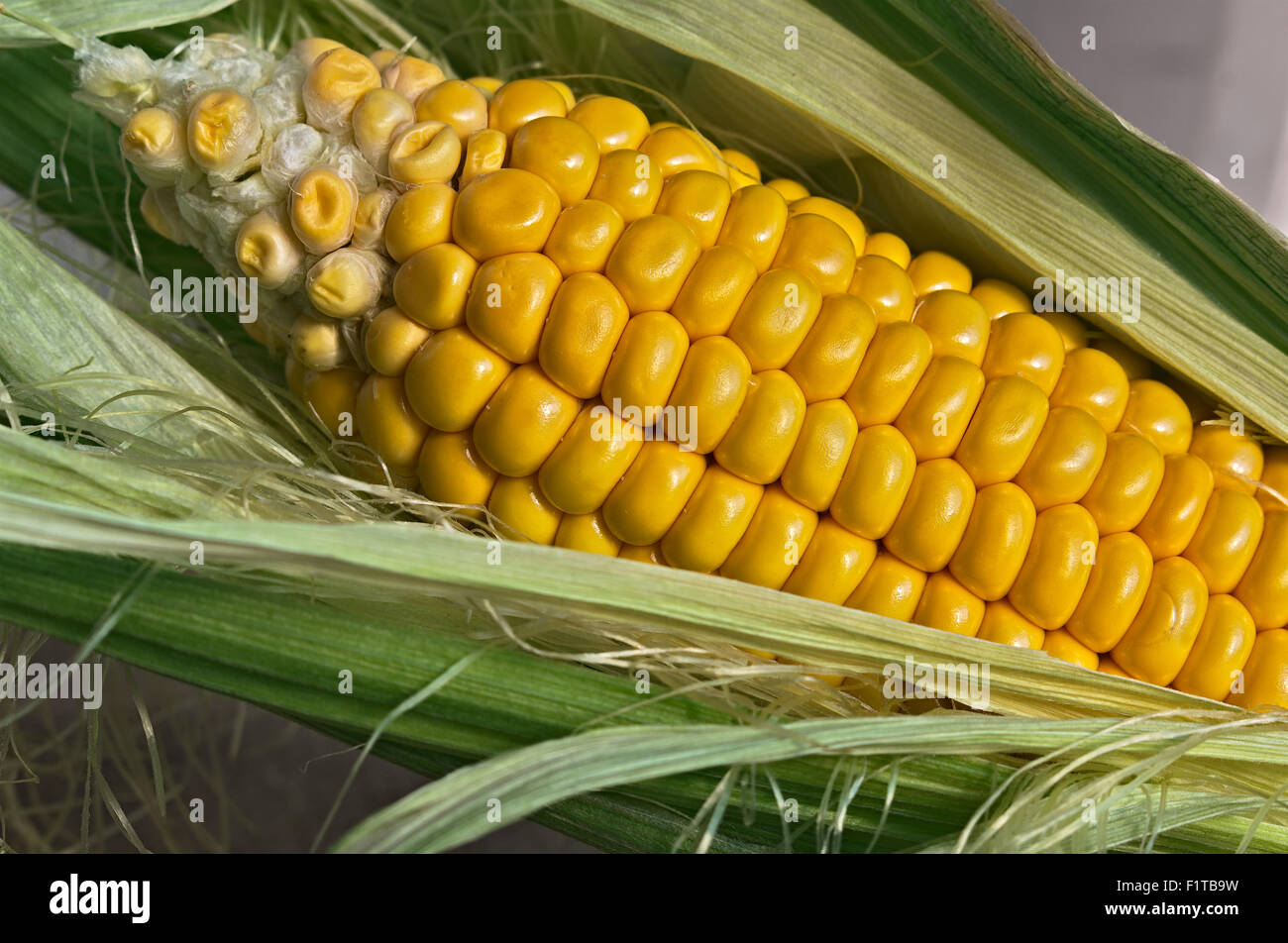 detail of a yellow corn cob Stock Photo - Alamy