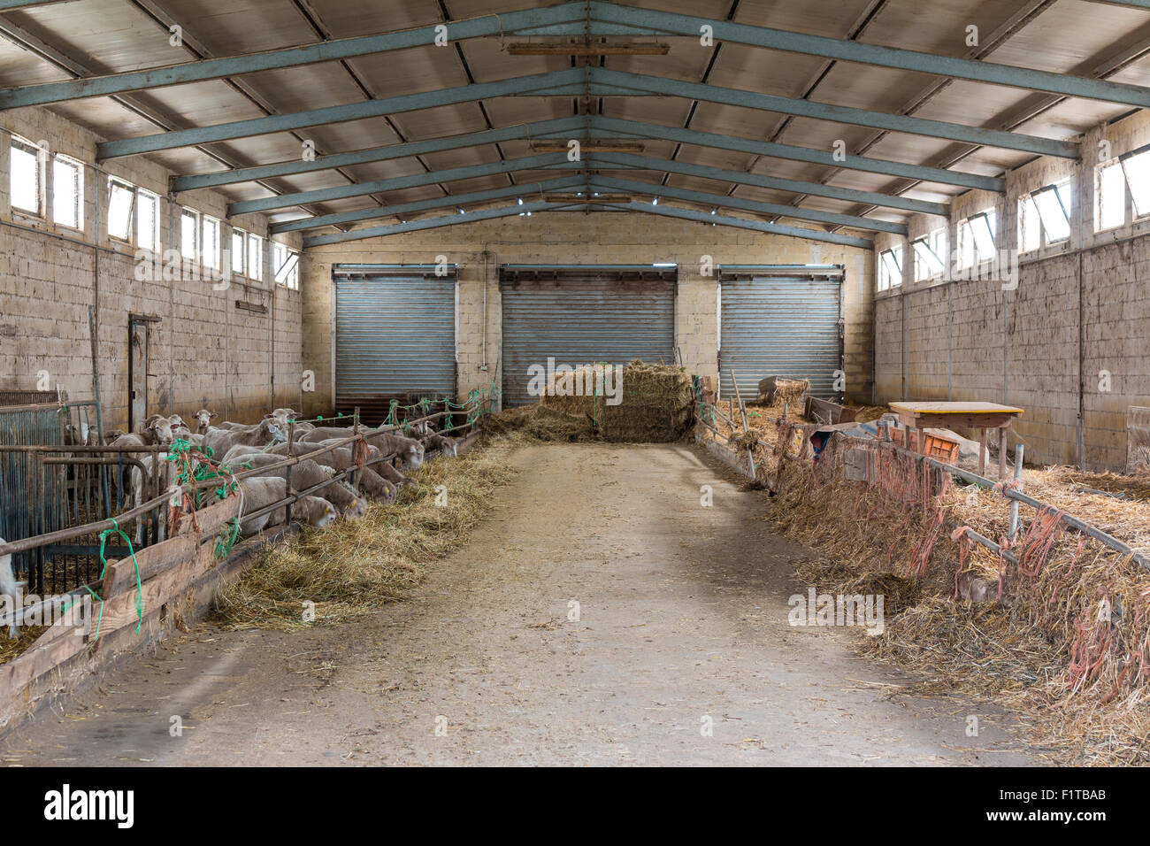 Animal feed in barn High Resolution Stock Photography and Images - Alamy