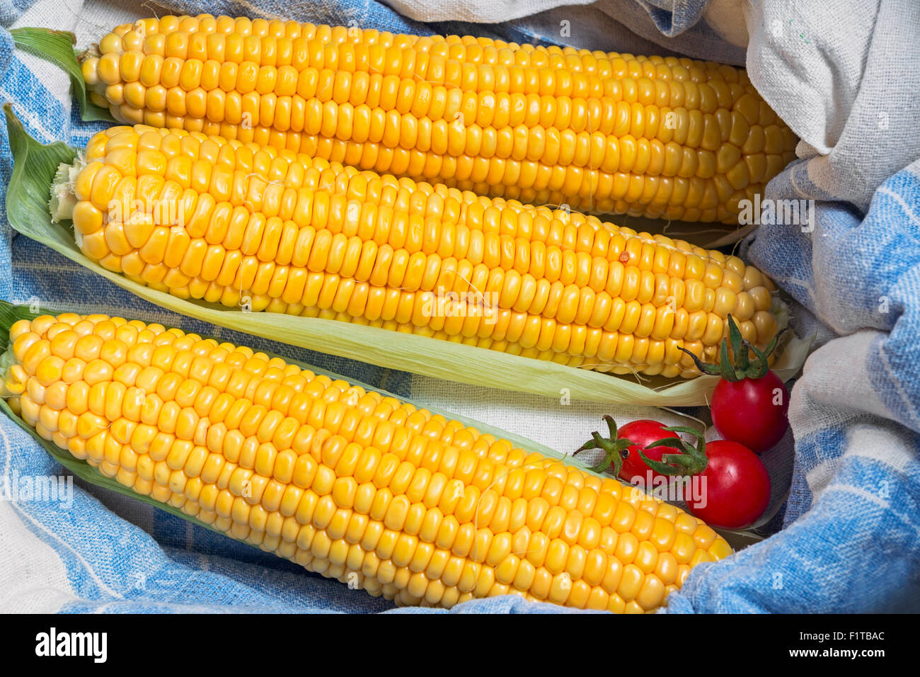 three corn cob with tomatoes Stock Photo - Alamy