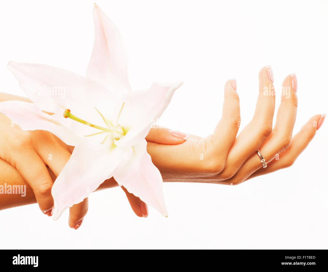 beauty delicate hands with manicure holding flower lily close up ...
