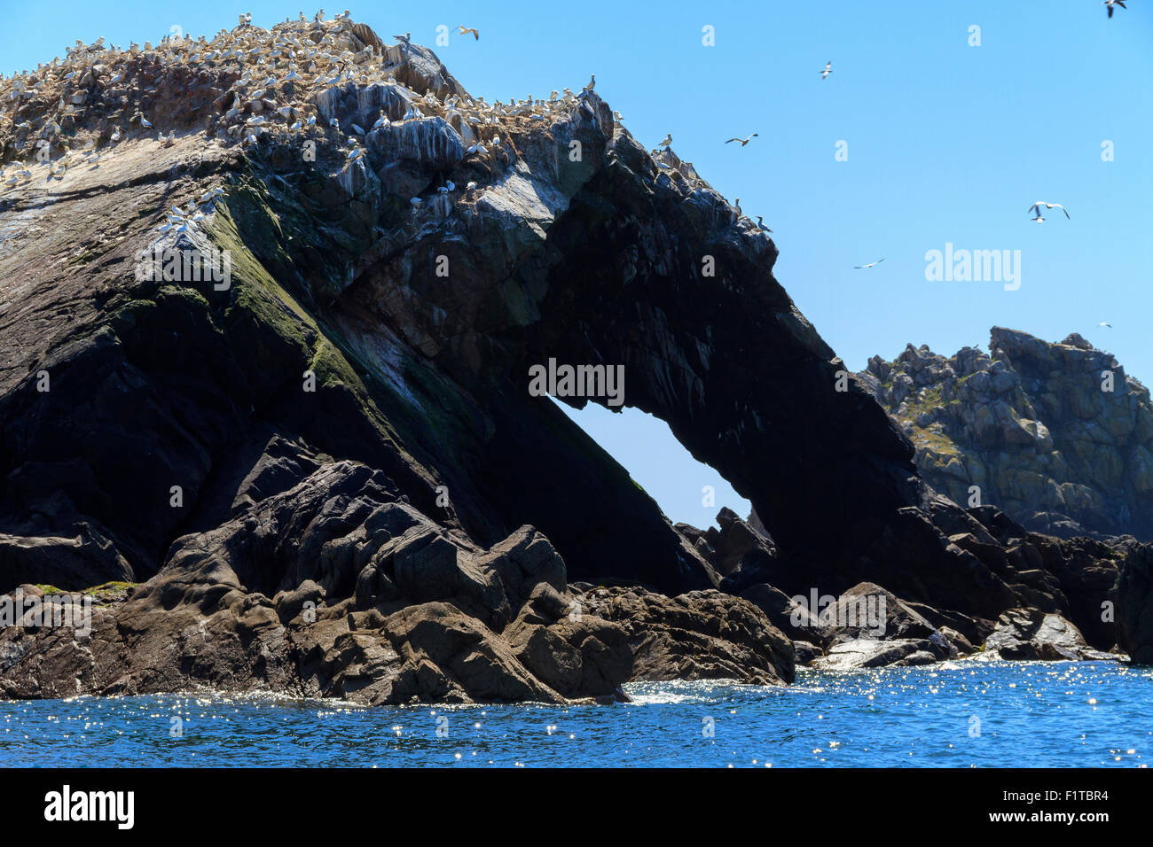 Rouzic Island (Ile Rouzic Stock Photo - Alamy