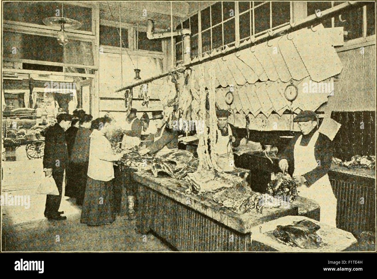 Elementary biology introduction hi-res stock photography and images - Alamy