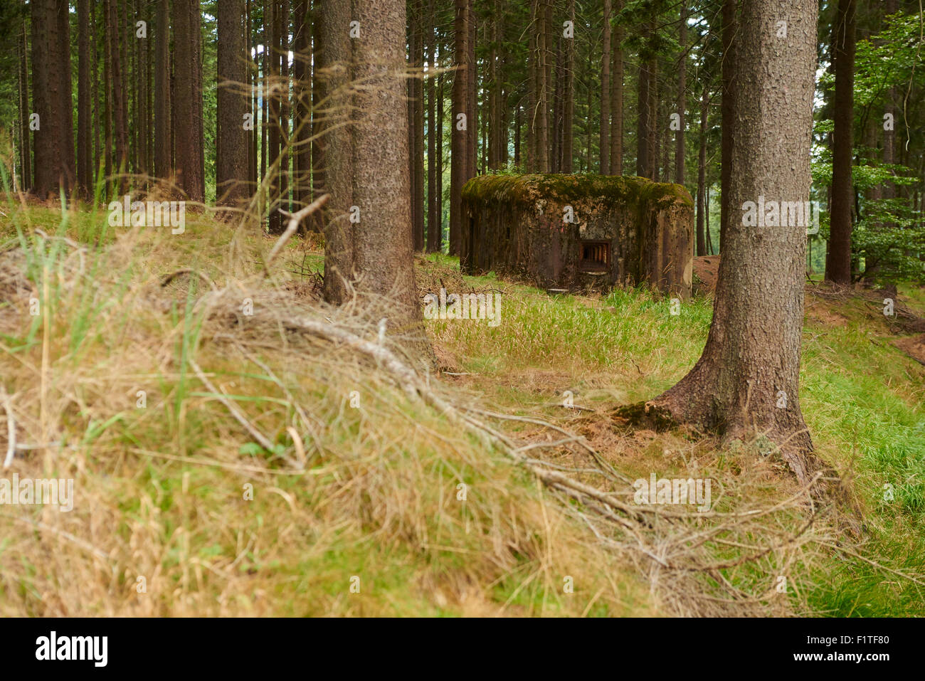 Ropik bunker - Czechoslovak - Germany border fortifications Stock Photo ...