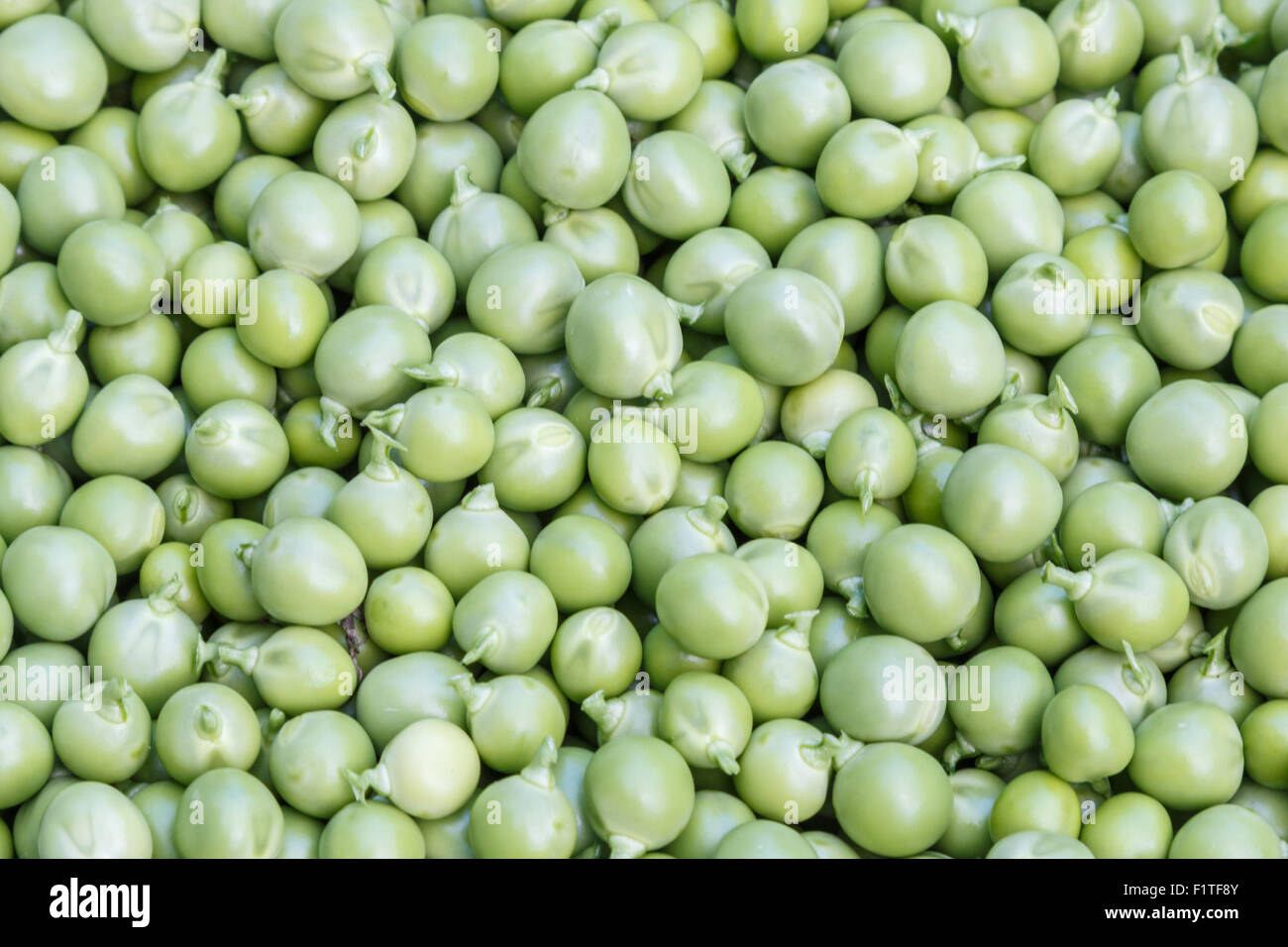 Peas shelled hi-res stock photography and images - Alamy