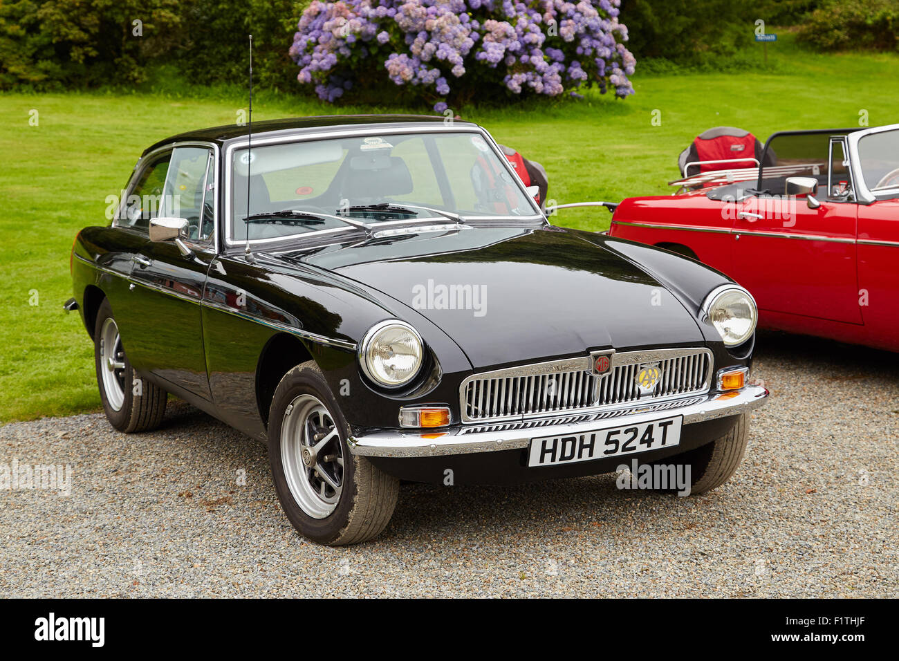 A Black MGB GT at Picton castle Vintage car rally, Pembrokeshire, Wales ...