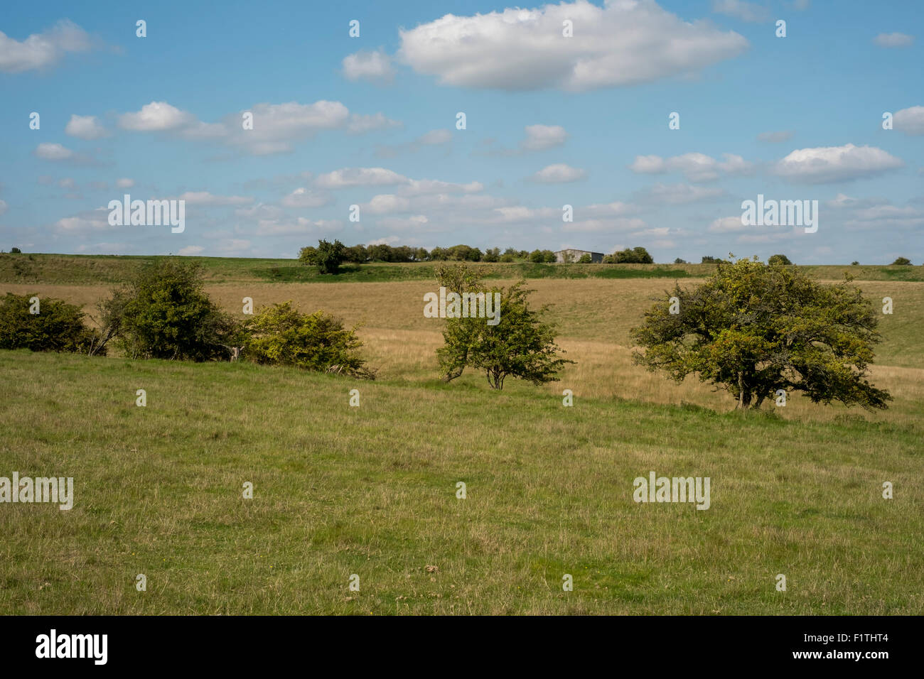 Neolithic durrington walls hi-res stock photography and images - Alamy