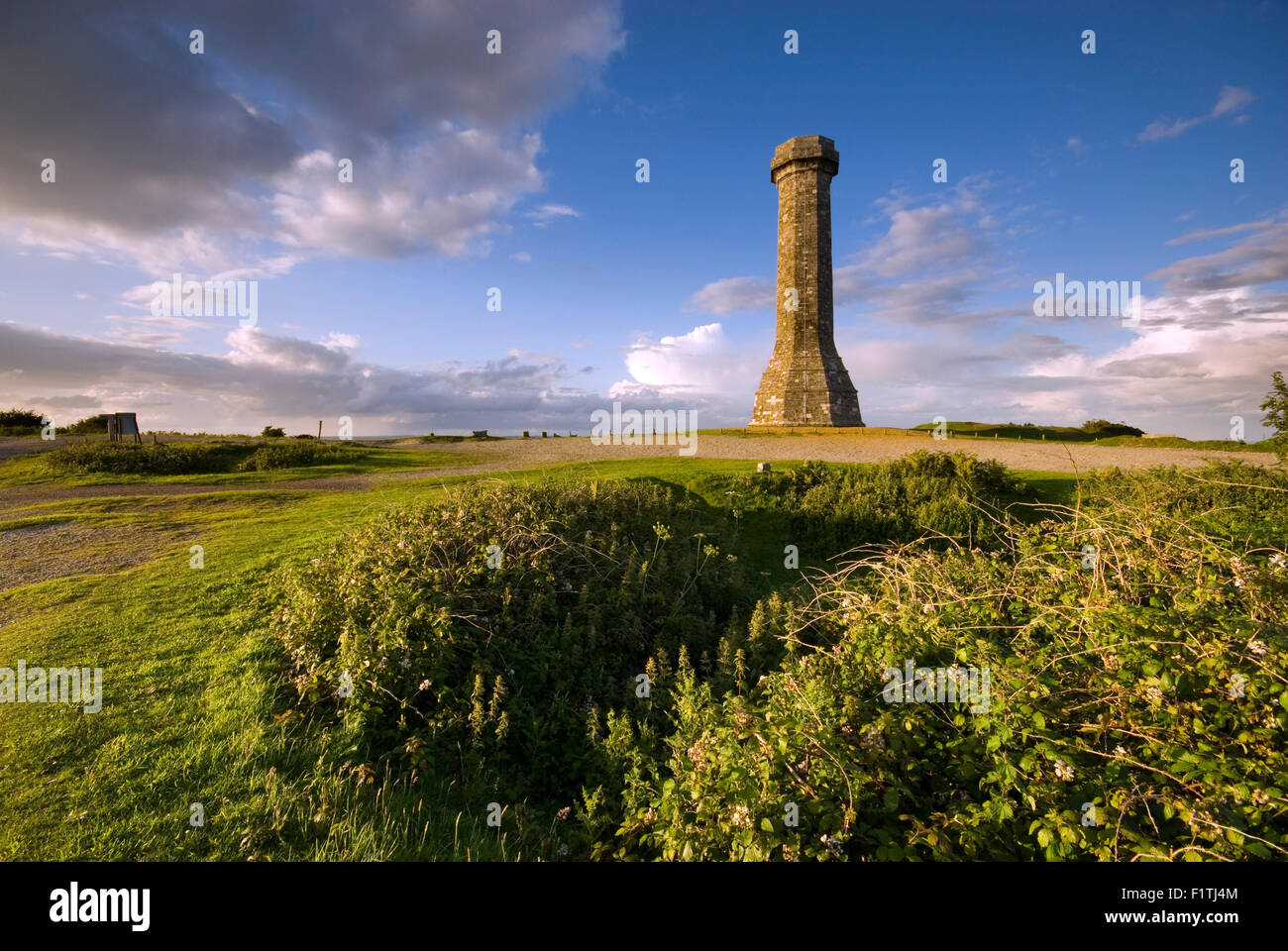 Hardy's Monument on Black Down above the village of Portesham, Dorset ...