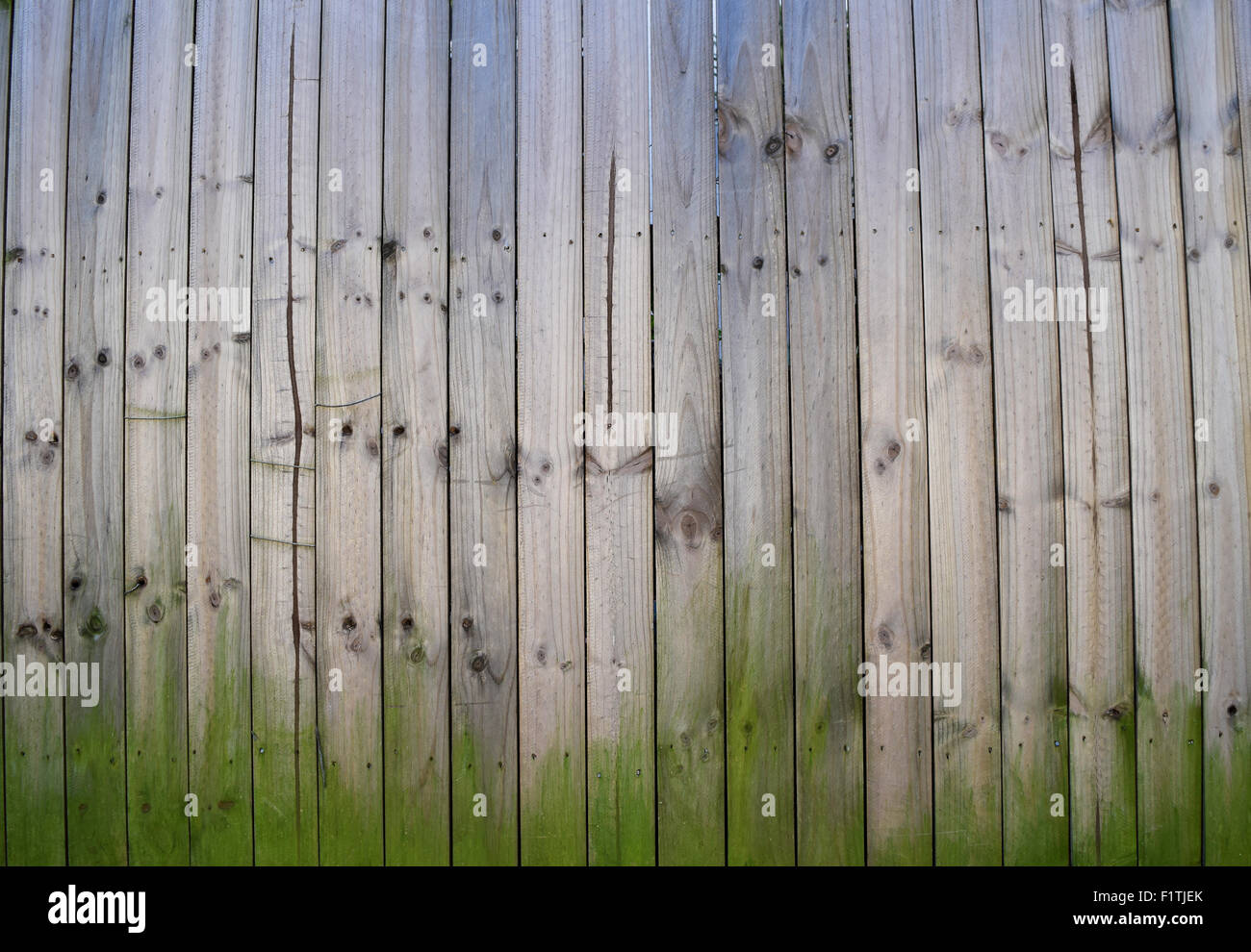 Wood Fence Background Wall Mural Wooden Fence Background PIXERS.US