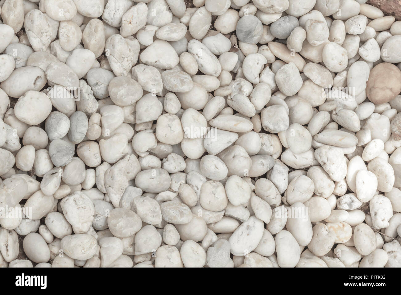 Naturally round hi-res stock photography and images - Alamy